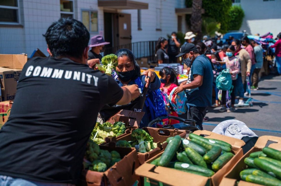 California Farmer and Farmworker Month: How Latina Excellence is ...